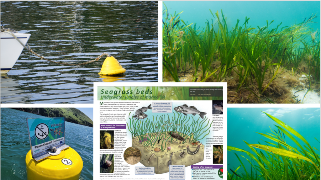 Cattewater Harbour Commissioners - Sustainable Anchoring & Moorings ...